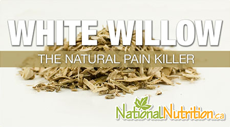 White Willow - National Nutrition Articles
