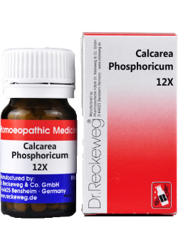 Buy Dr. Reckeweg Tissue Salt S2 Calcarea Phos 12x - 200 Tabs at ...
