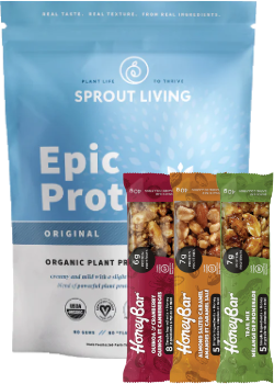 Buy Sprout Living Epic Protein (Original, Organic) - 454g at ...